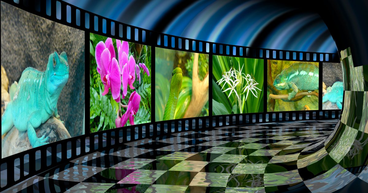 Deep Java Library: AI out of the box | Integration & Application Talents