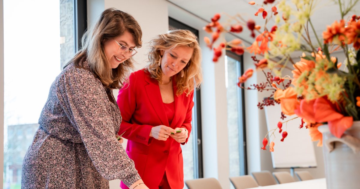 Leren in organisaties: 3 manieren om 't PPL-model in te zetten